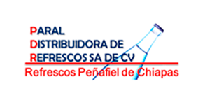 RSG RedSinergia - Gold Partner de SAP en México